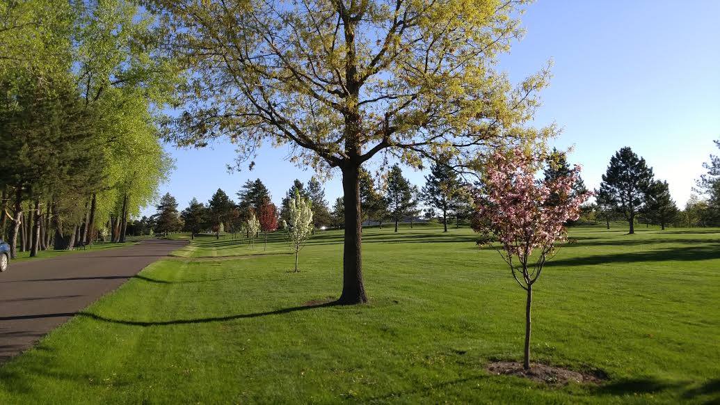 Contact Oneka Golf Course